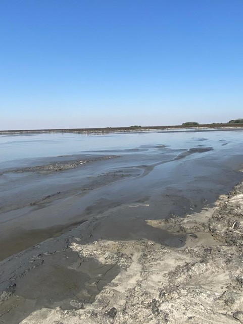 Marsh Building - My blog